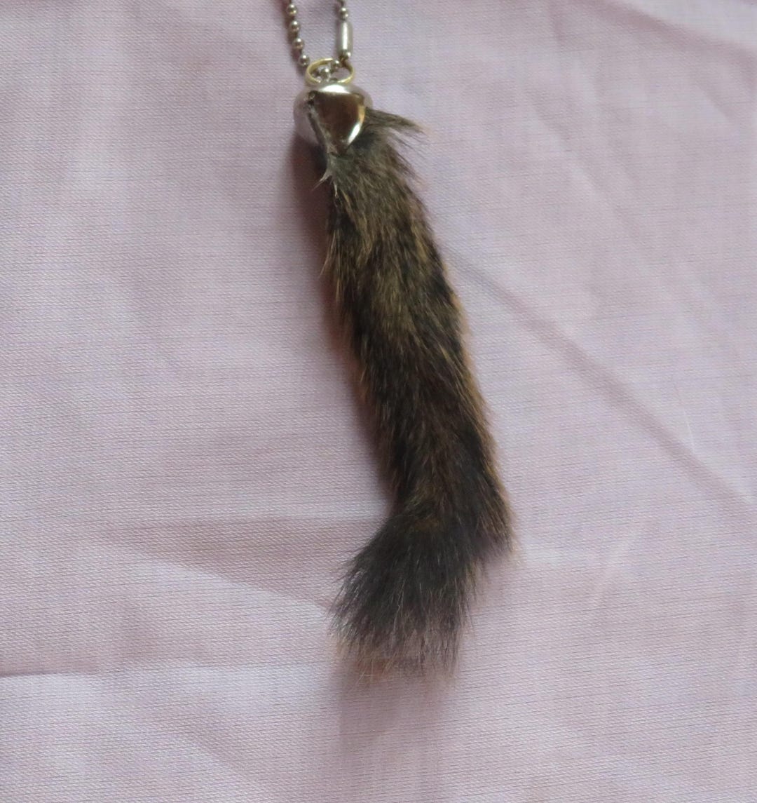 Squirrel Tails - Etsy