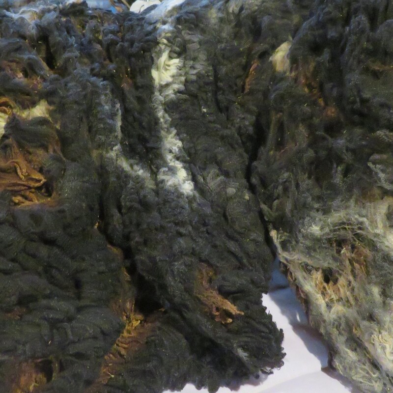 Cormo Fleece - Etsy