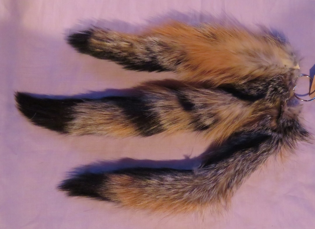 Gray Fox Tails XL - Etsy