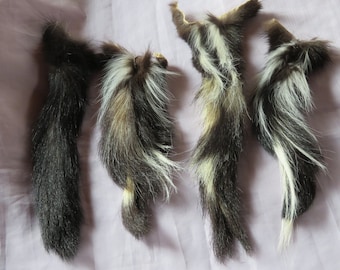 Skunk Tail Made to Order - Etsy