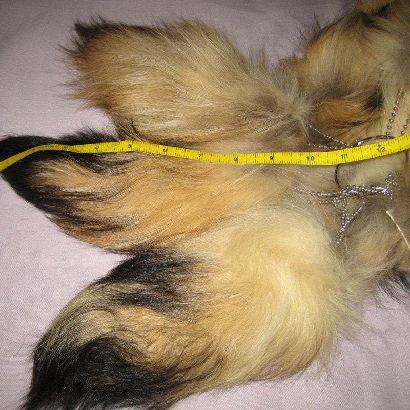 Furry Tails - Etsy
