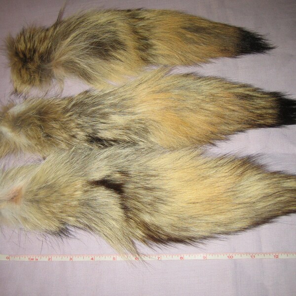 Coyote Tail - Etsy