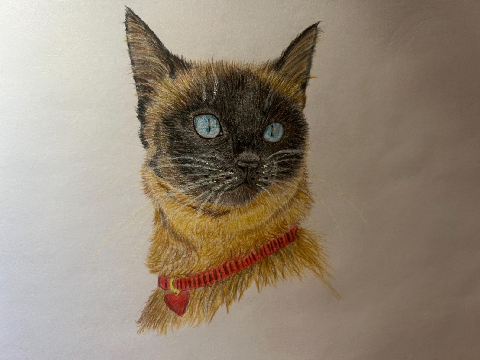 Custom Animal Drawings With Colored Pencils. Any Animal, Wild or ...