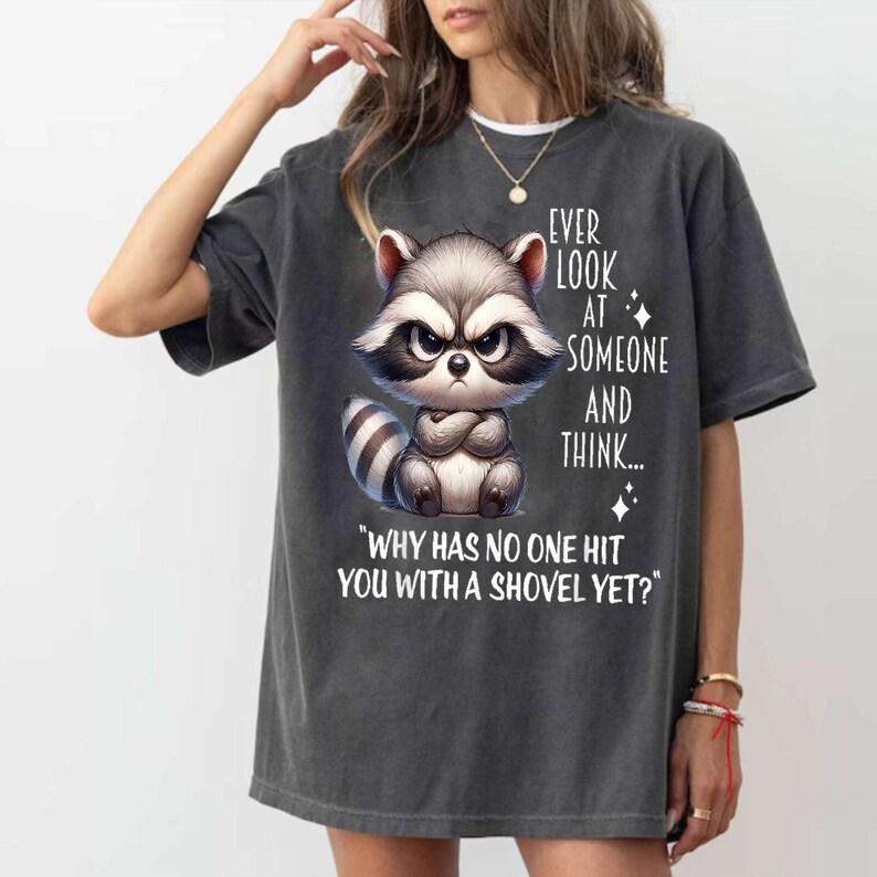 Raccoon Ever Look at Someone and Think Why Has No One Hit Png, Mother's ...