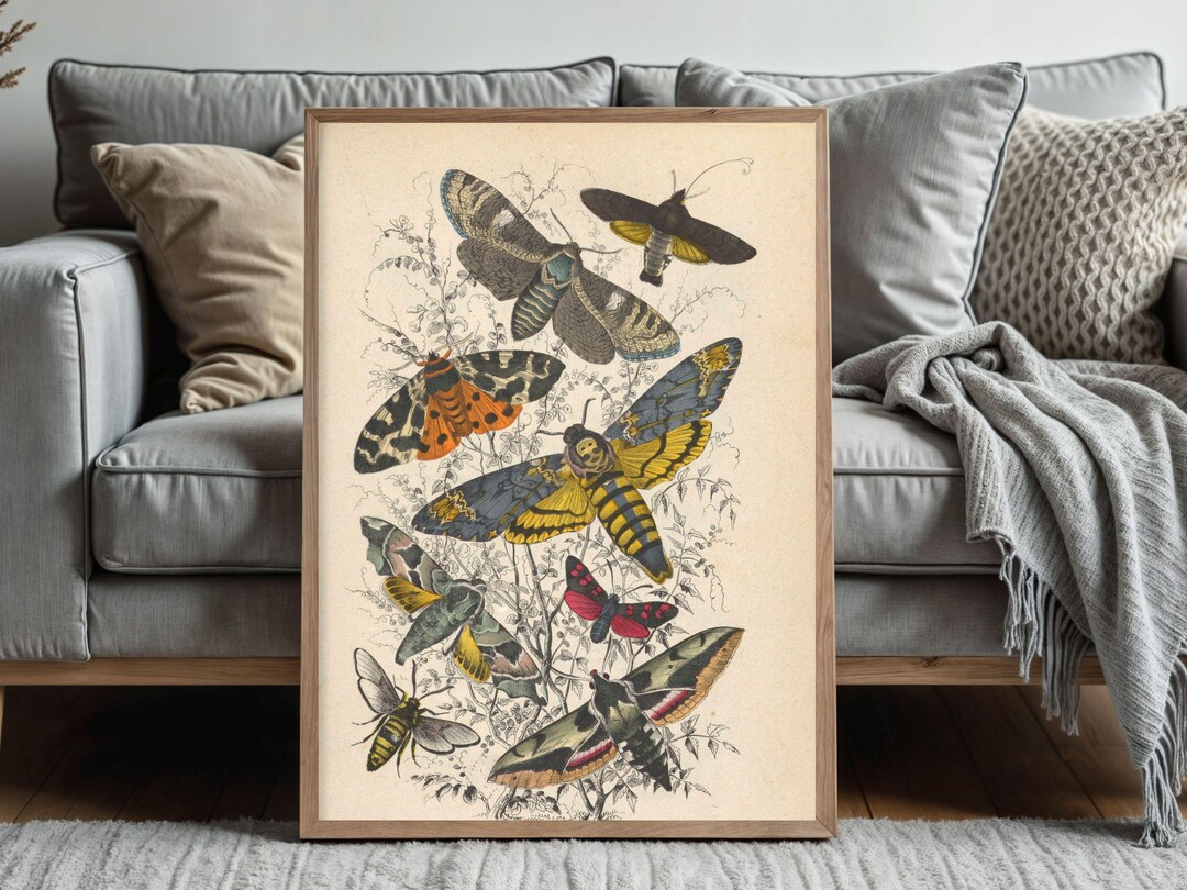 Vintage Insect Wall Art Print, Textured Watercolor Poster, Nature Decor ...
