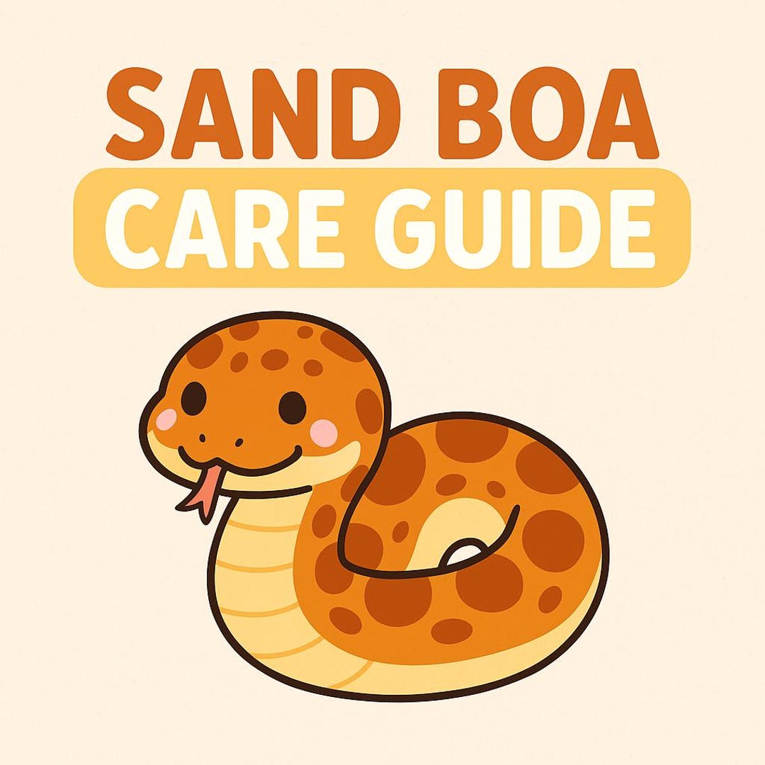 Printable Sand Boa Snake Care Guide and Tracking | Beginner-friendly ...