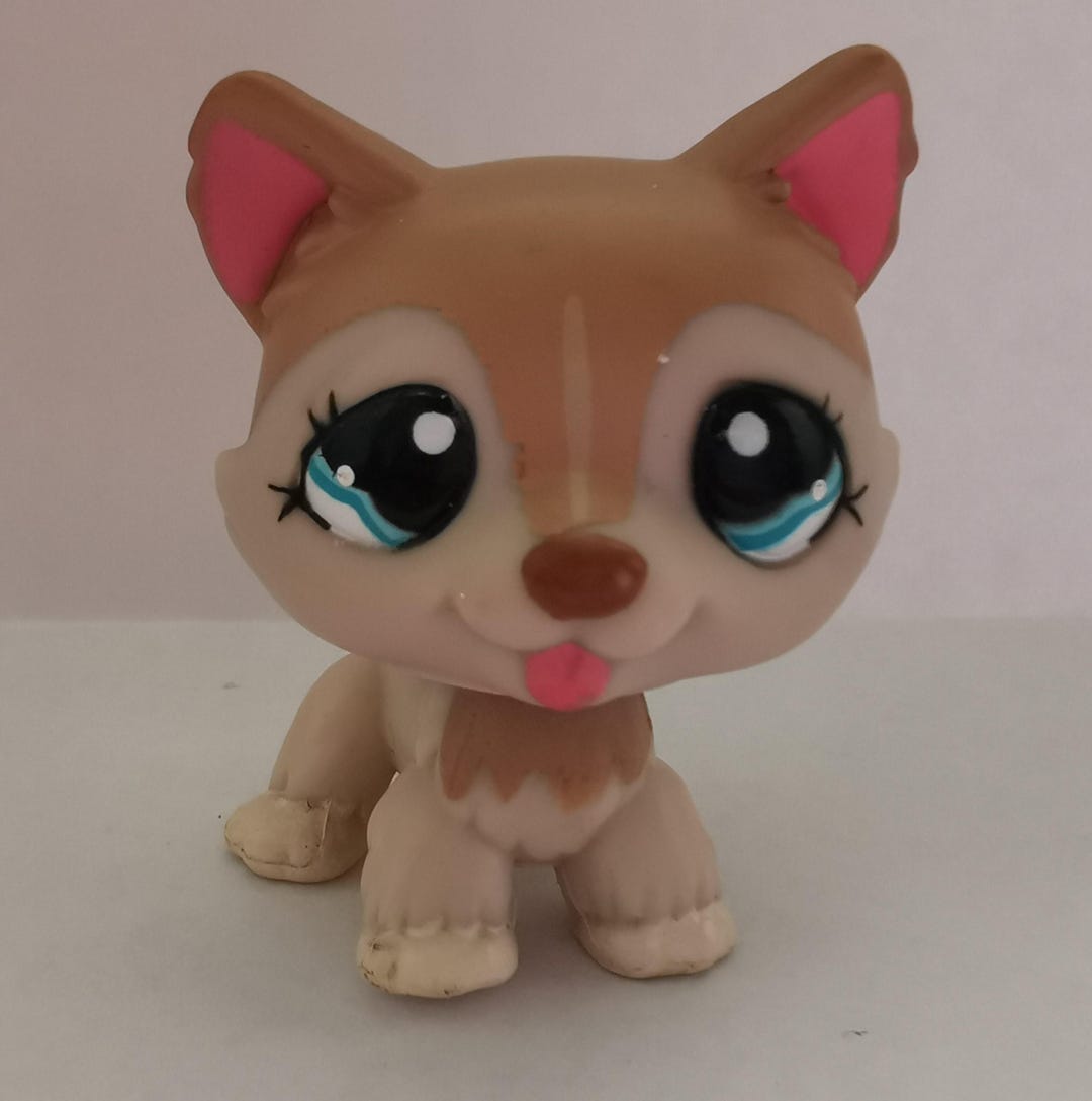 Littlest Petshop - LPS #1012 Husky (tan) - Etsy