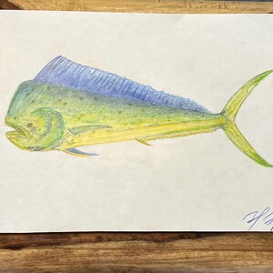 Hand-drawn Dolphin (mahi Mahi) Fish - Etsy