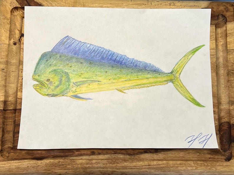 Hand-drawn Dolphin (mahi Mahi) Fish - Etsy