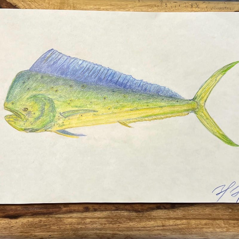 Mahi Mahi Drawing - Etsy
