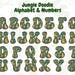 Jungle Alphabet & Numbers Bundle | Doddle Letters | PNG Alphabet | PNG ...