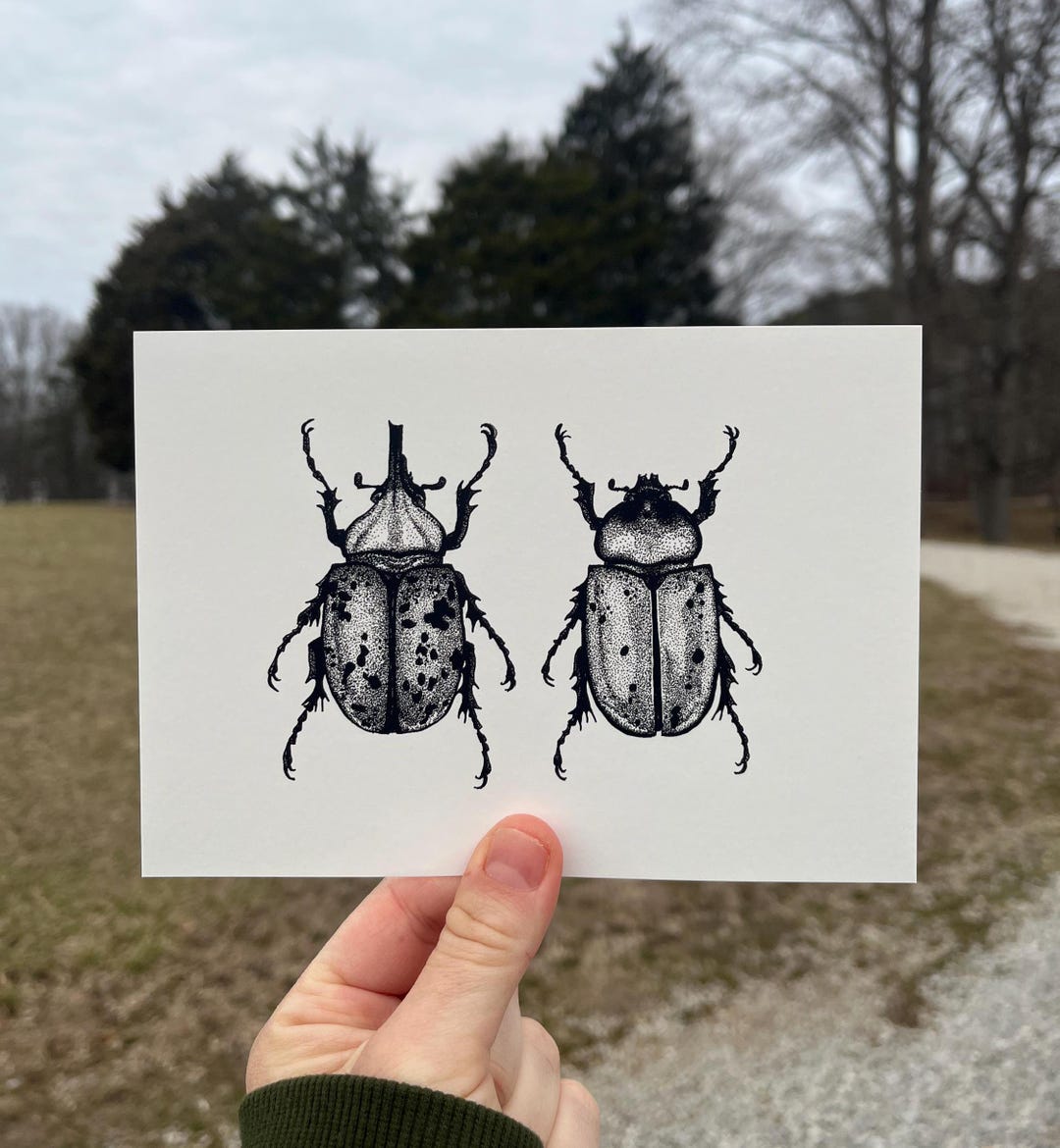 Eastern Hercules Beetles (male and Female) Giclee Fine Art Print - Etsy