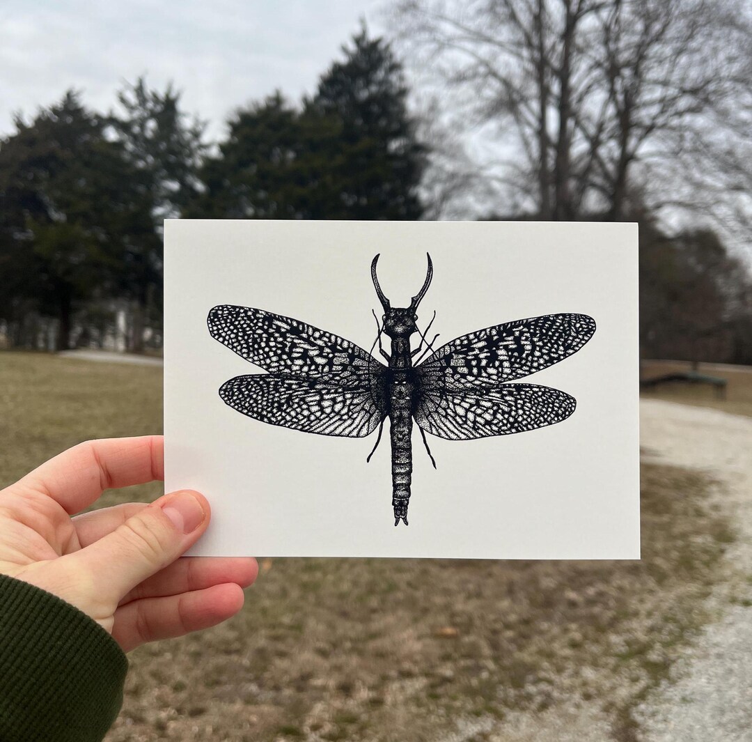 Dobsonfly Male Giclee Fine Art PRINT - Etsy