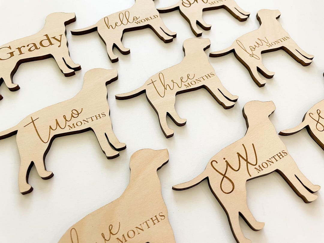 Dog Nursery Labrador Monthly Milestone Plaques | Baby Shower Gift ...