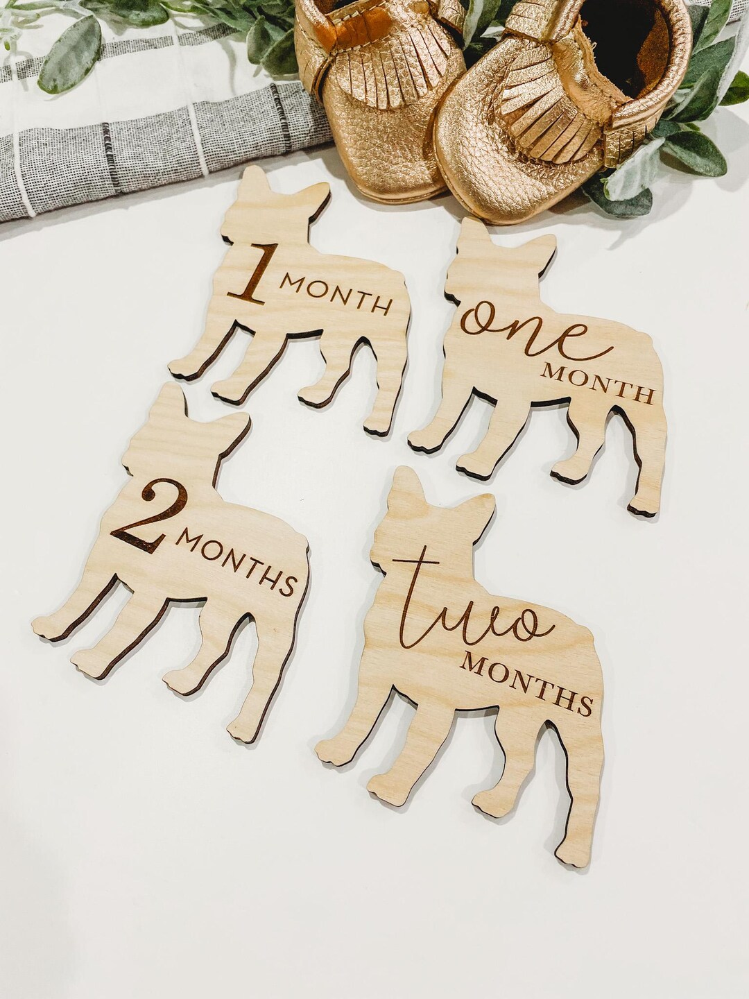 Frenchie Dog Monthly Milestone Plaques: Baby Photo Prop - Etsy