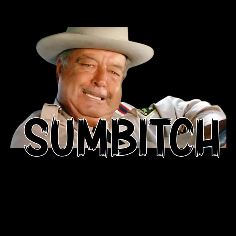 Sumbitch: Adult Vinyl Stickers - Smokey and the Bandit - Etsy