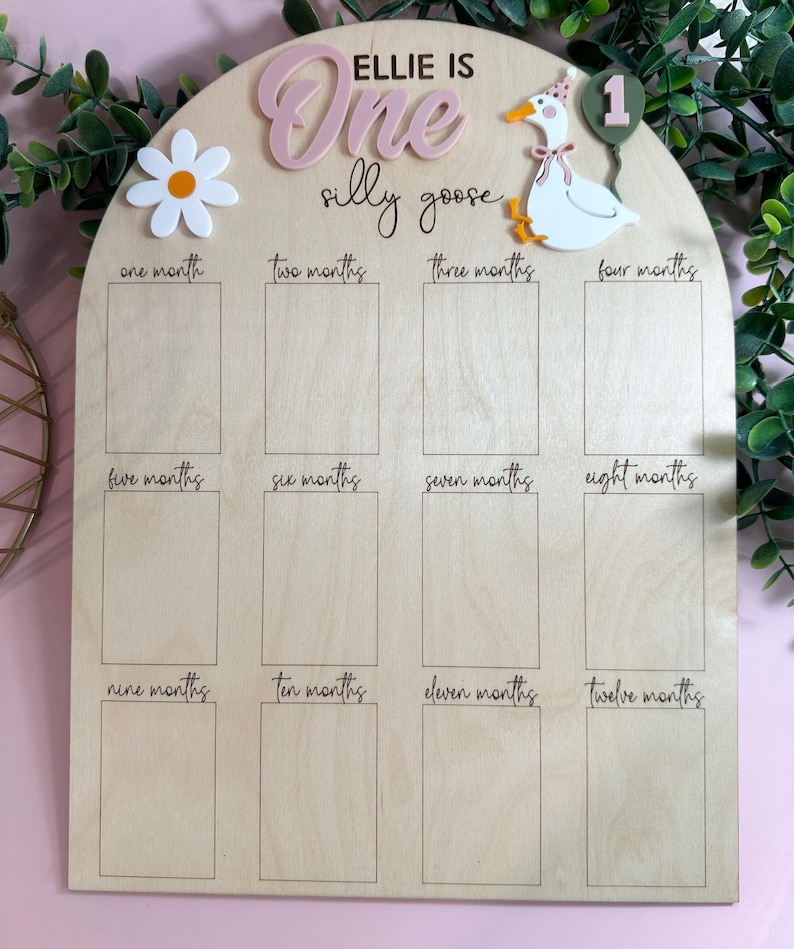 One Silly Goose Photo Board, First Birthday Party Decor, Silly Goose ...