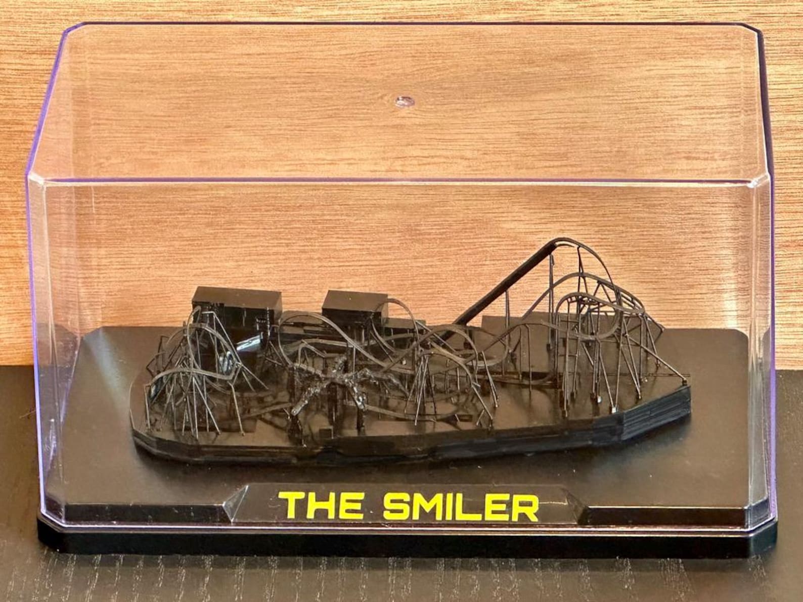 THE SMILER Mini Roller Coaster Model Diorama With Display Case Alton ...