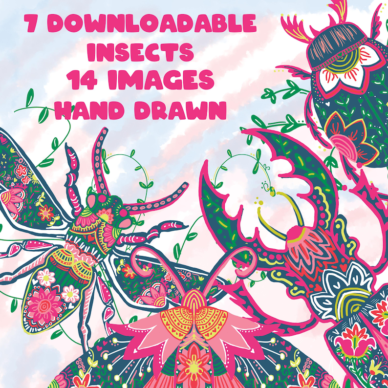 Folk Art Bug Clipart Bundle | 6 Colourful Moth & Insect Pngs | Boho ...