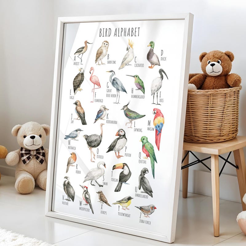 Bird Alphabet Digital - Etsy