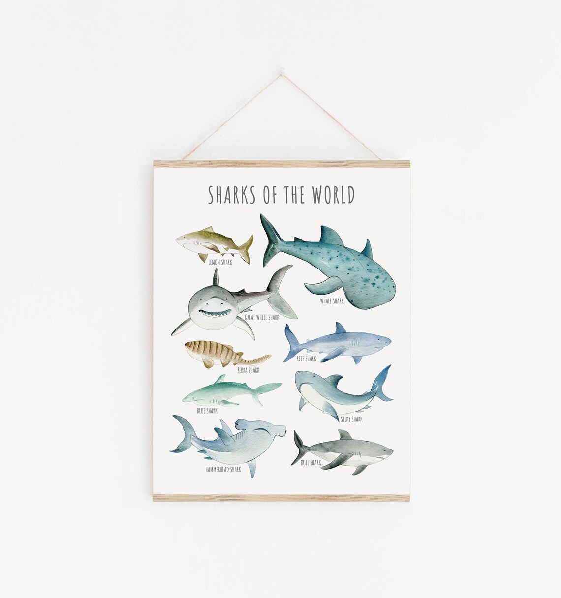 Sharks Wall Art, Printable Shark Chart Poster, Ocean Kid's Room Decor ...