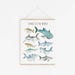 Sharks Wall Art, Printable Shark Chart Poster, Ocean Kid's Room Decor ...