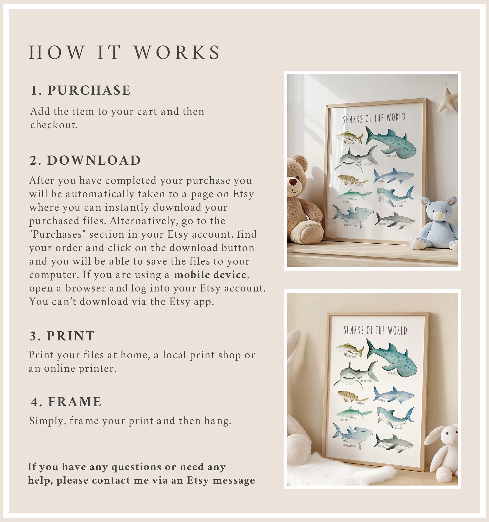 Sharks Wall Art, Printable Shark Chart Poster, Ocean Kid's Room Decor ...