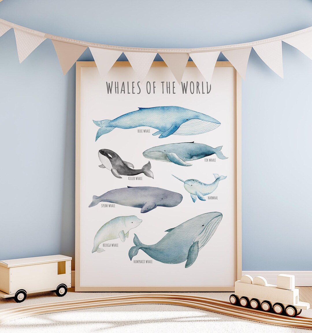 Whales Wall Art, Printable Whale Chart Poster, Ocean Kid's Room Decor ...
