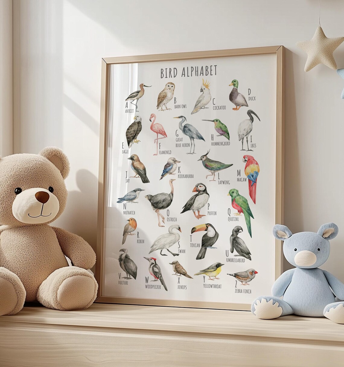 Birds Alphabet Poster, Educational ABC Wall Art, A - Z Chart, Kid's ...