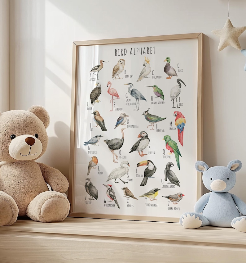 Birds Alphabet Poster Printable Birds Alphabet Wall Art, Bird A - Z ...