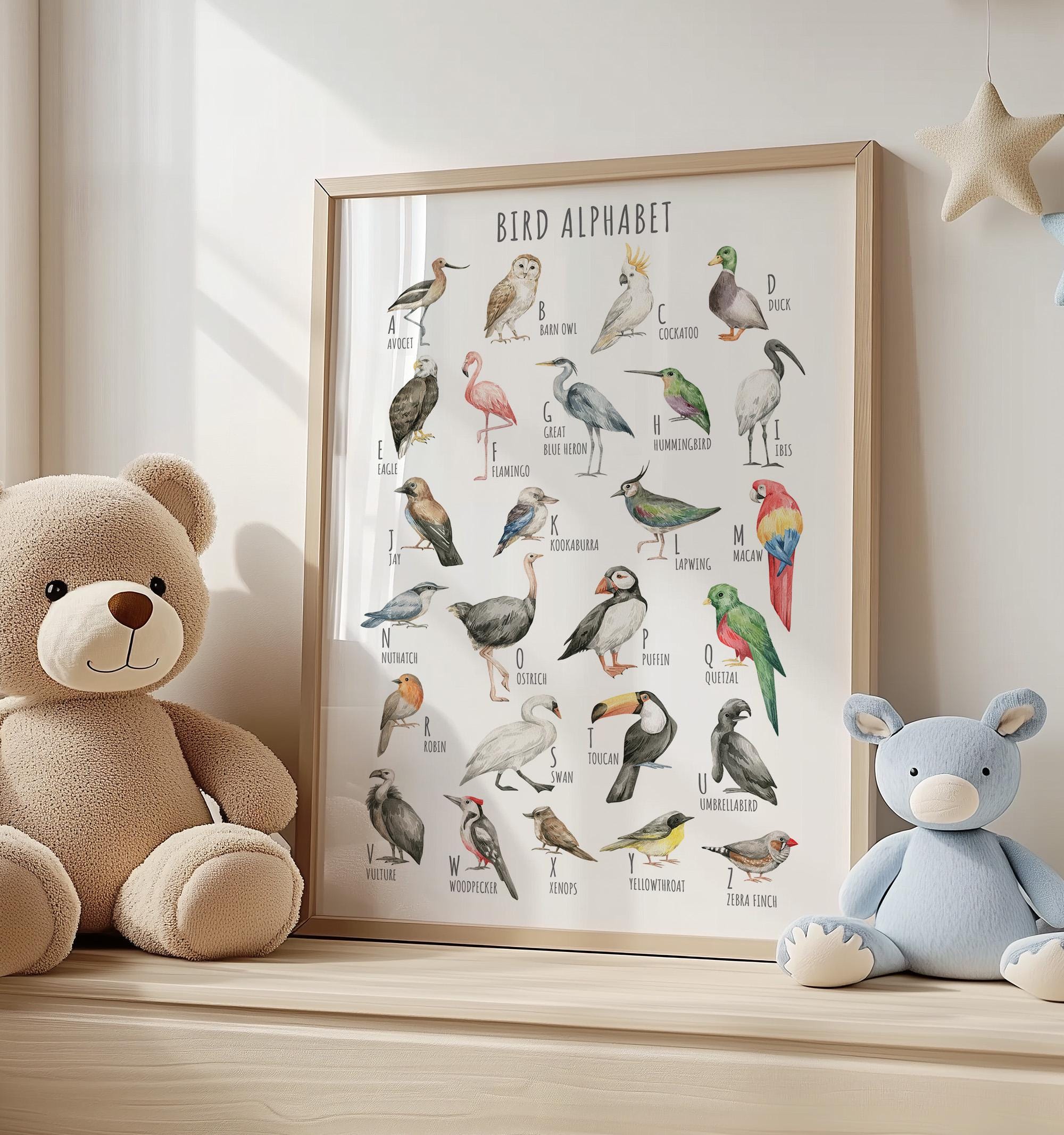 Birds Alphabet Poster, Educational ABC Wall Art, A - Z Chart, Kid's ...