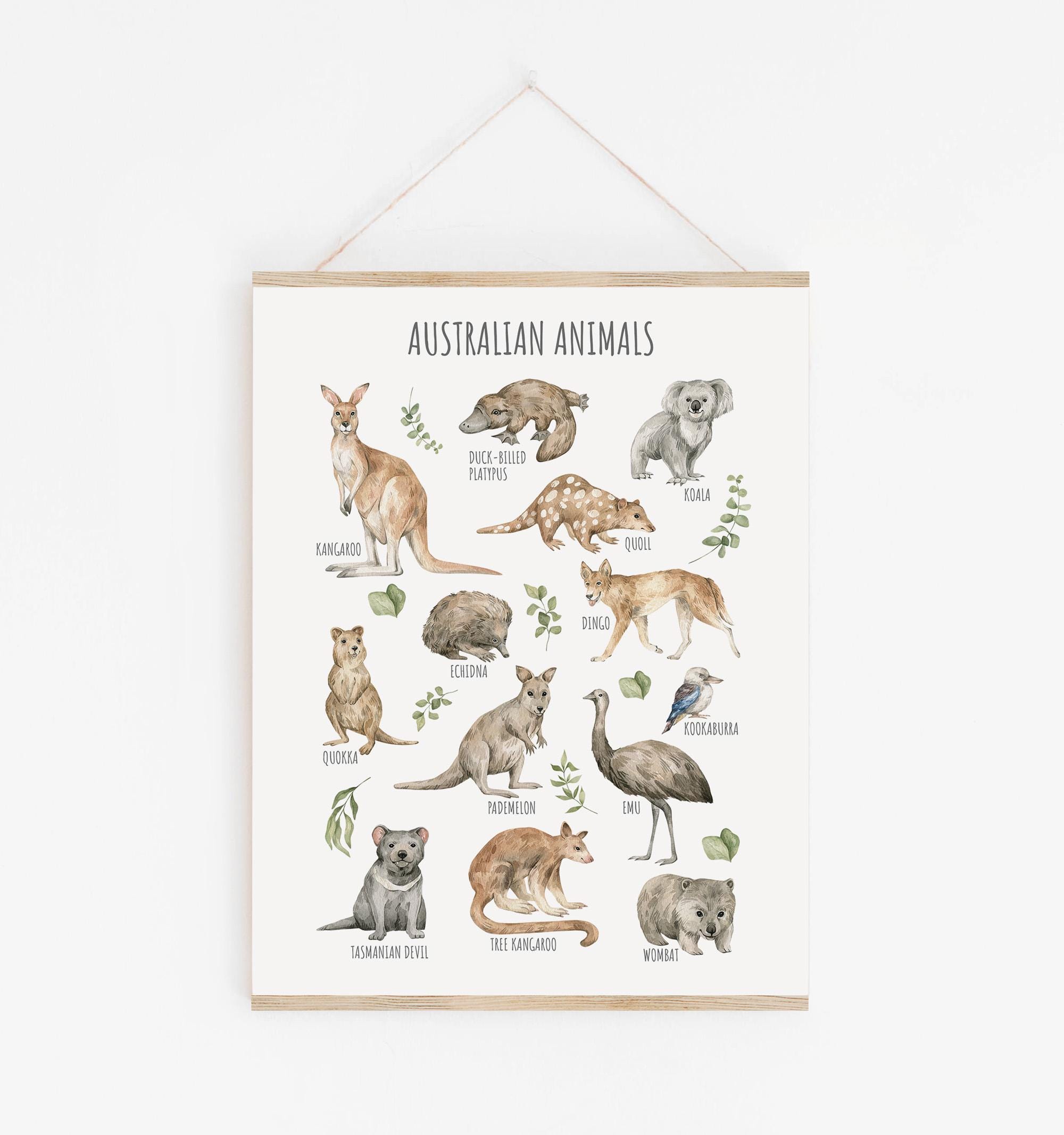 Printable Australian Animals Wall Art, Aus Animal Nursery Art, Kids ...
