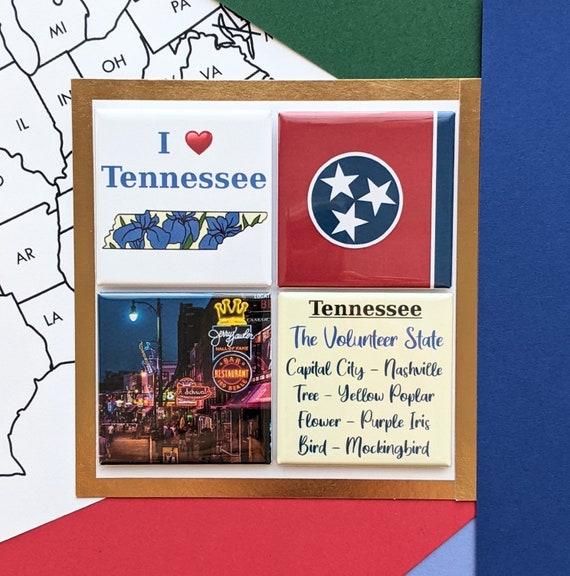 Tennessee Magnets Beale Street Set of Four Magnets State | Etsy