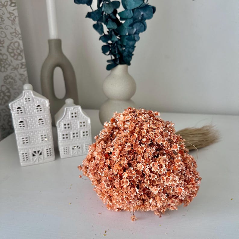 Salmon Glixia Marcela Flowers, Natural Bouquet 75g, Dried Flowers ...