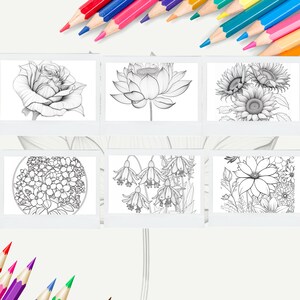 Bloom & Botanical Coloring Book: 50+ Realistic Flower Illustrations ...