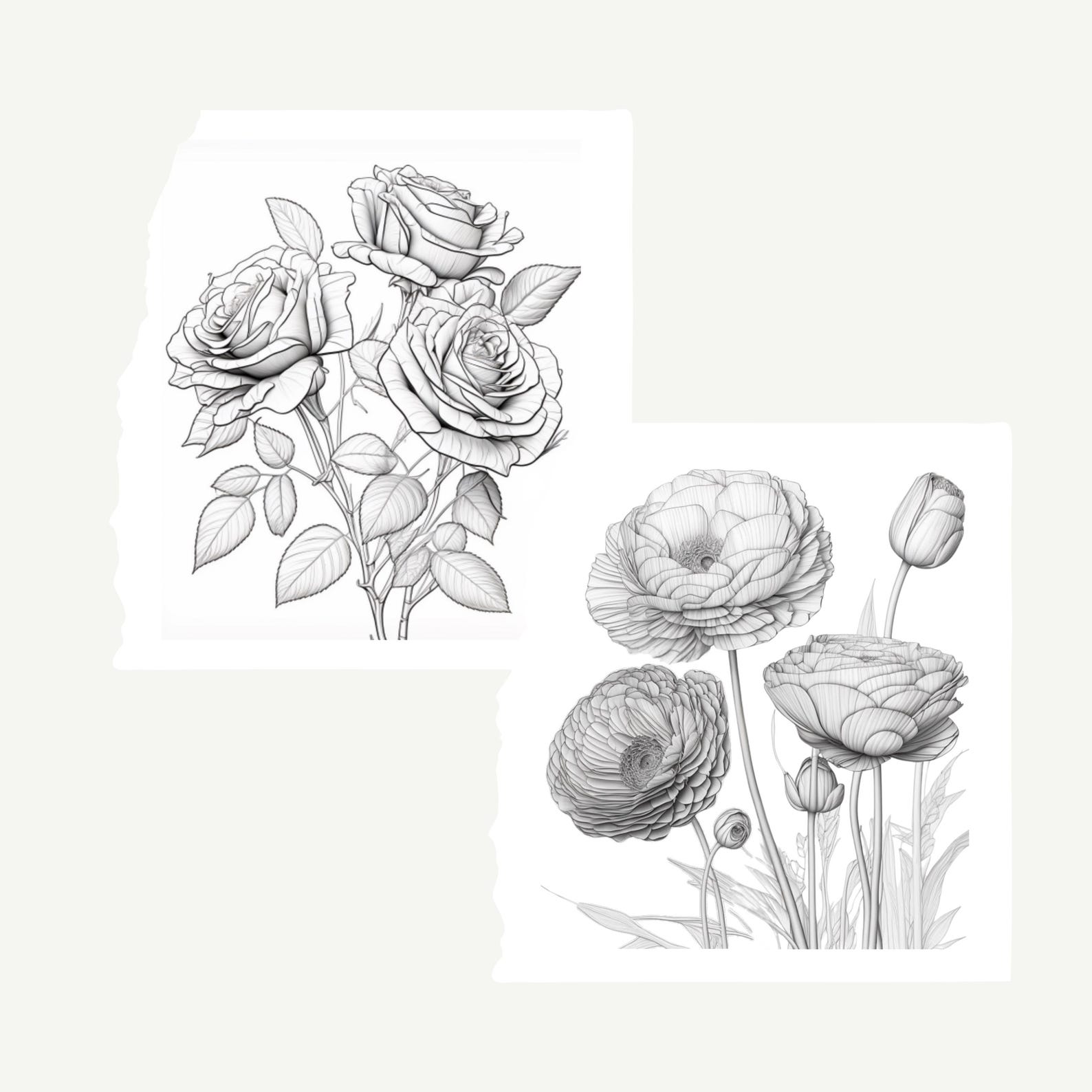 Bloom & Botanical Coloring Book: 50+ Realistic Flower Illustrations ...