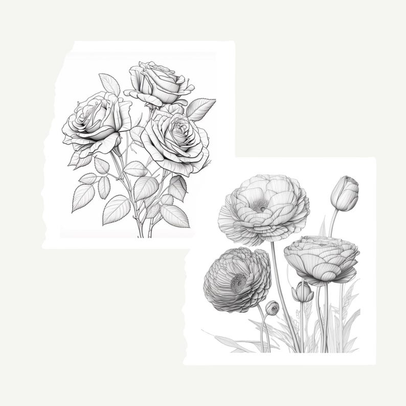 Bloom & Botanical Coloring Book: 50+ Realistic Flower Illustrations ...
