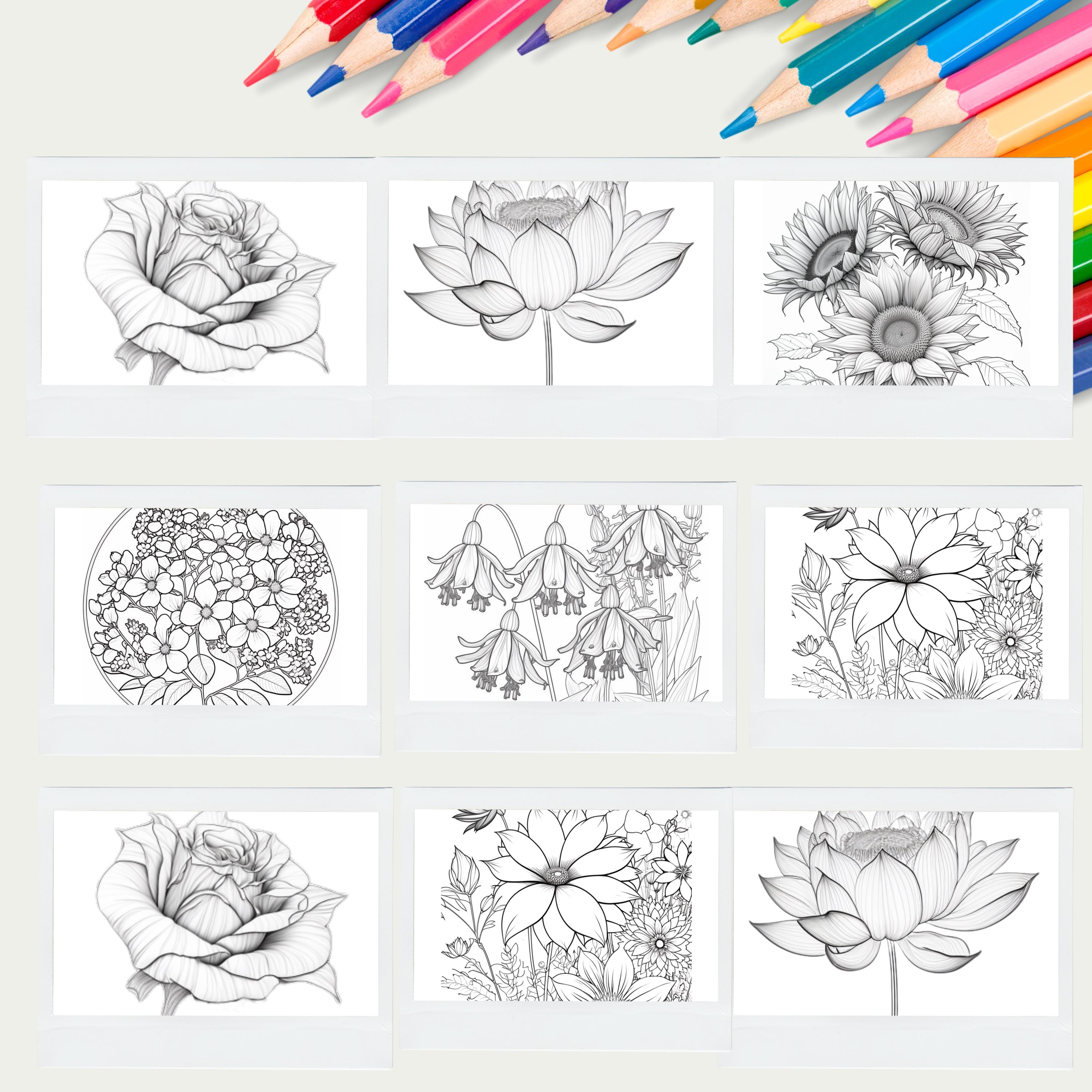 Bloom & Botanical Coloring Book: 50+ Realistic Flower Illustrations ...