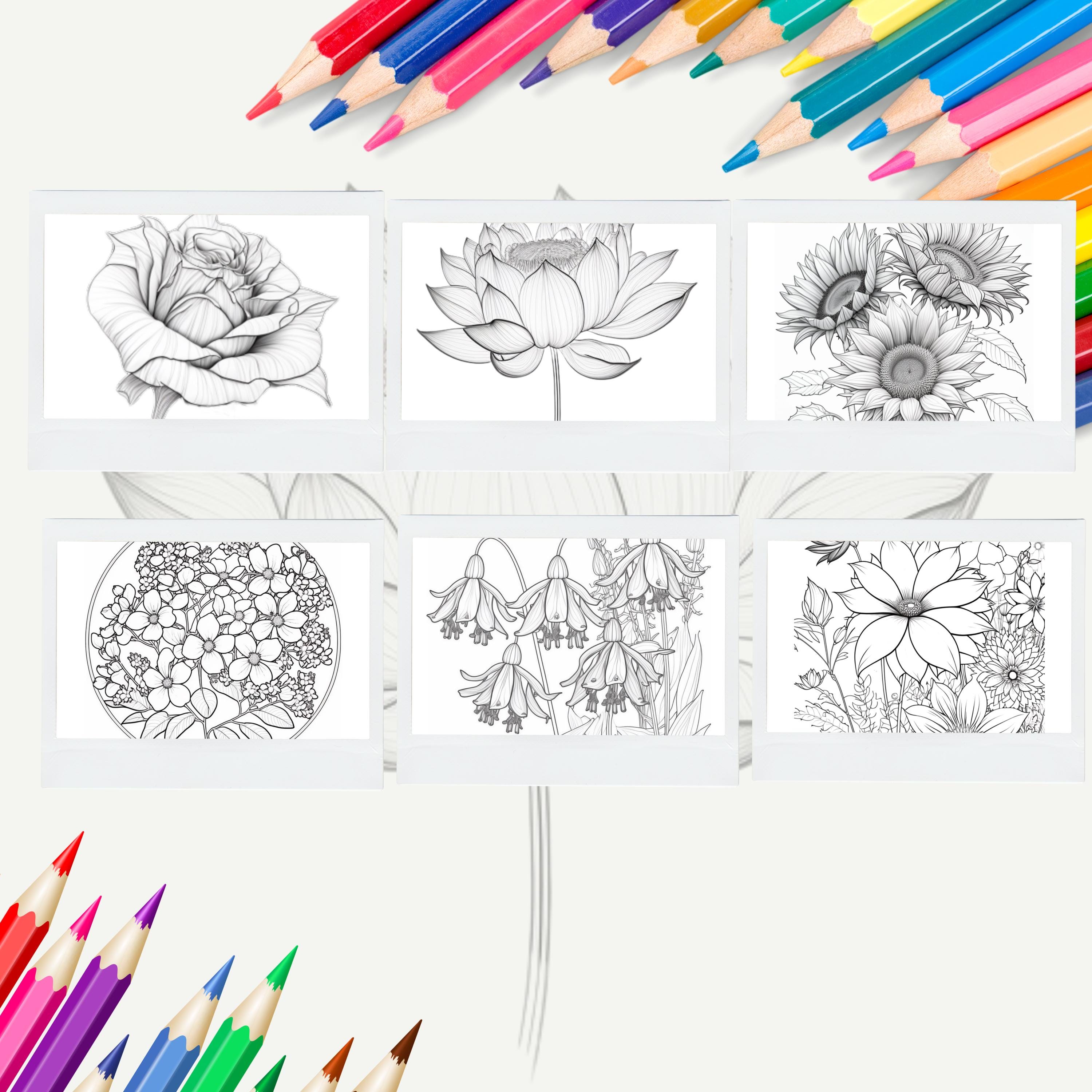 Ultimate Bundle 50+ Bloom & Botanicals Coloring Book Realistic ...
