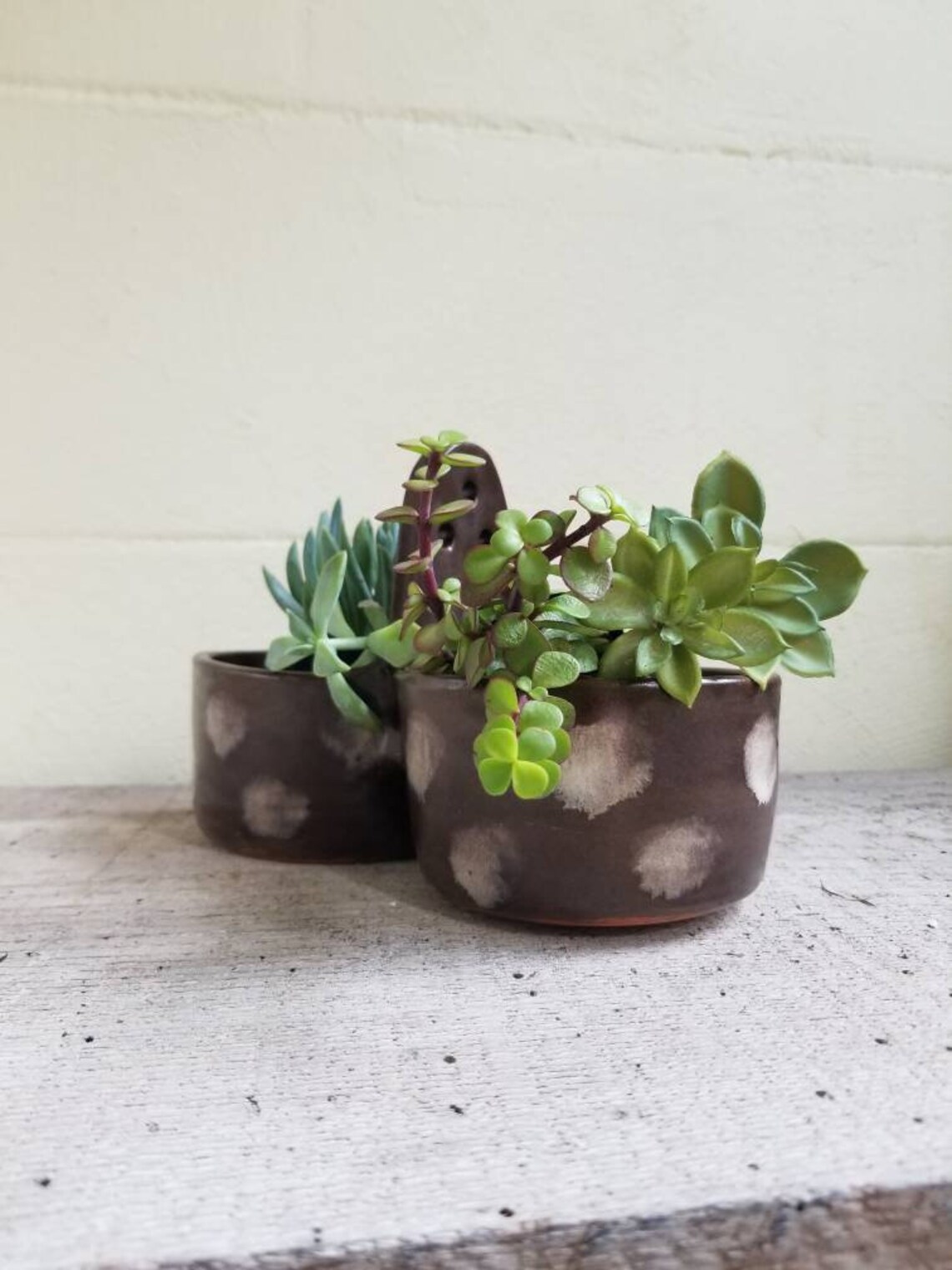 Ceramic Double Planter with Handle | Etsy