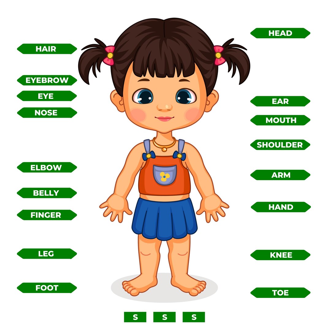 Body Parts Craft Activity - Cut and Match - Etsy