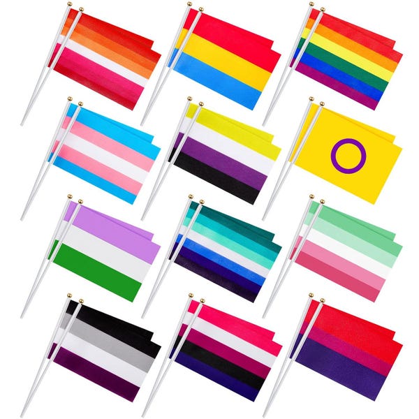 Femboy flags - Etsy.de