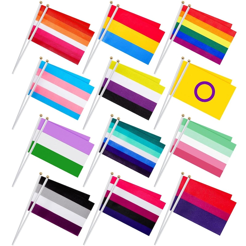 Femboy Pride Flags - Etsy