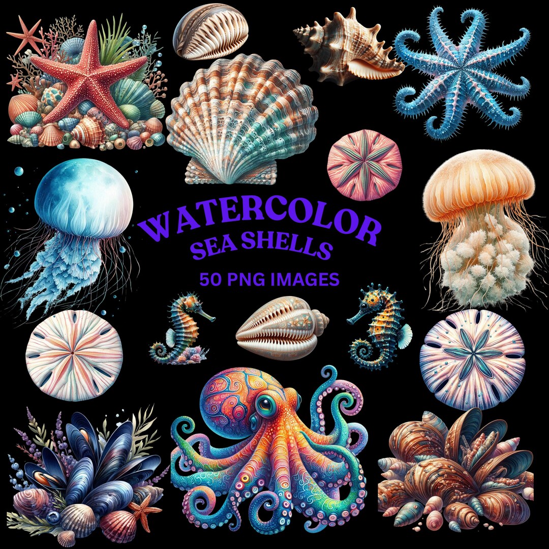 Watercolor Sea Shells Clipart, Beach PNG, Sea Clipart, Destination ...