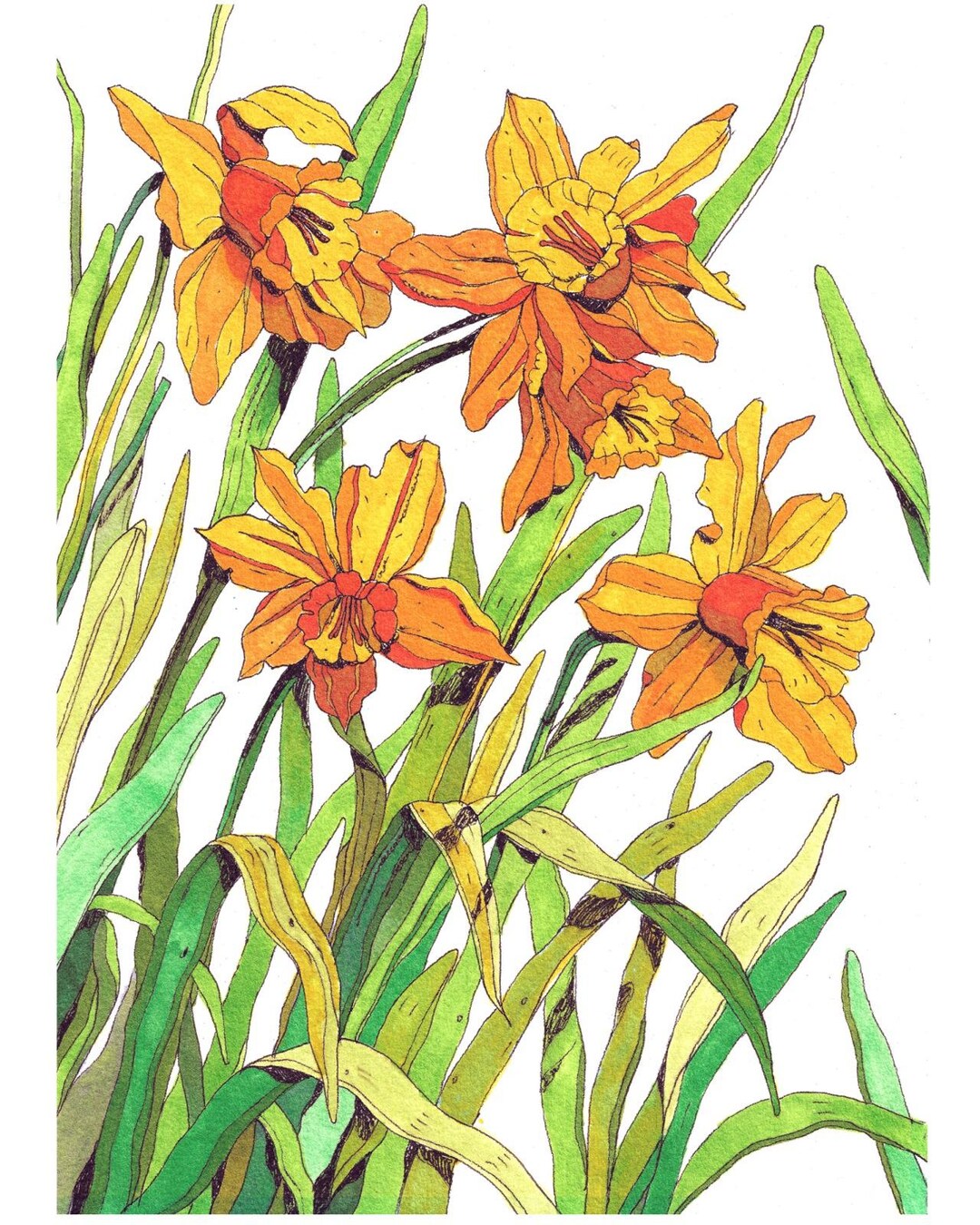 Daffodils Art Print - Etsy