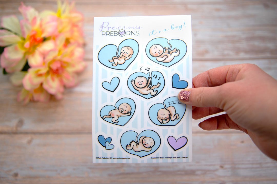 It's a Boy! Maternity / Baby Sticker Sheet | Set of 10 Vinyl Precious ...