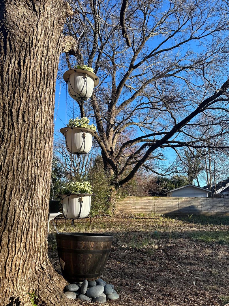 Climate Gardens - Etsy