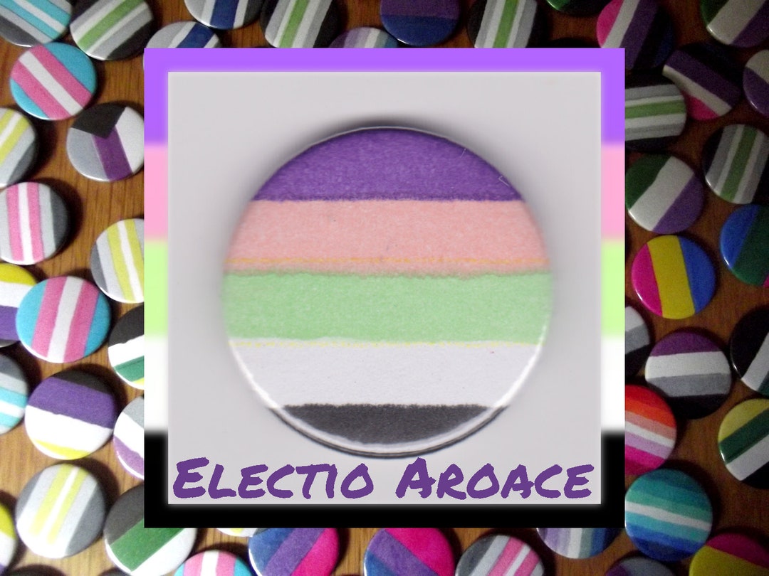 Electio Aroace Pride 1 Button Badge - Etsy