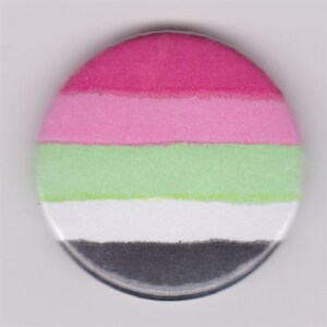 Recipromantic Pride 1 Button Badge - Etsy