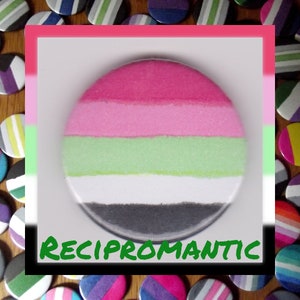 Recipromantic Pride 1 Button Badge - Etsy